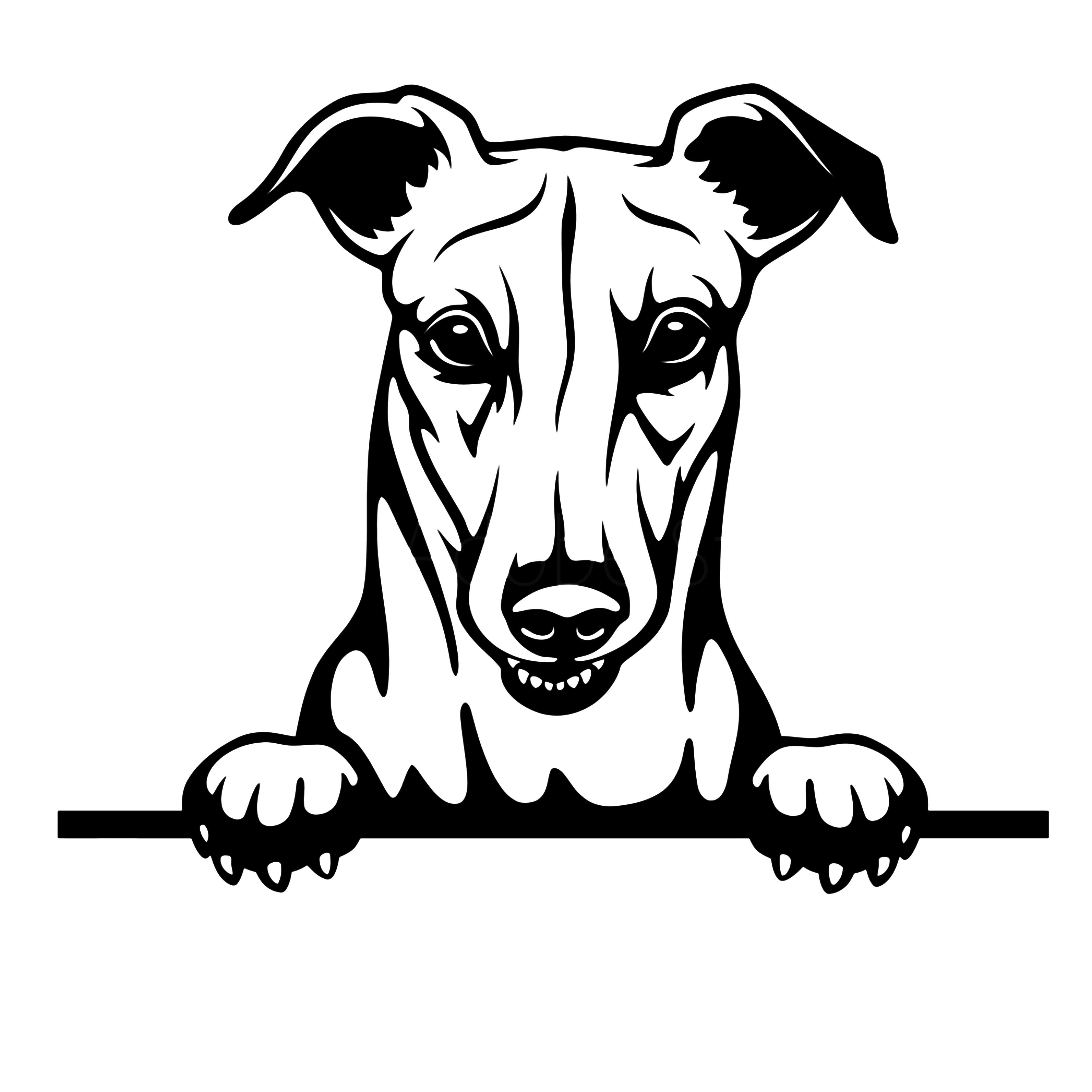 Peeking Greyhound | GP Walsh Designs
