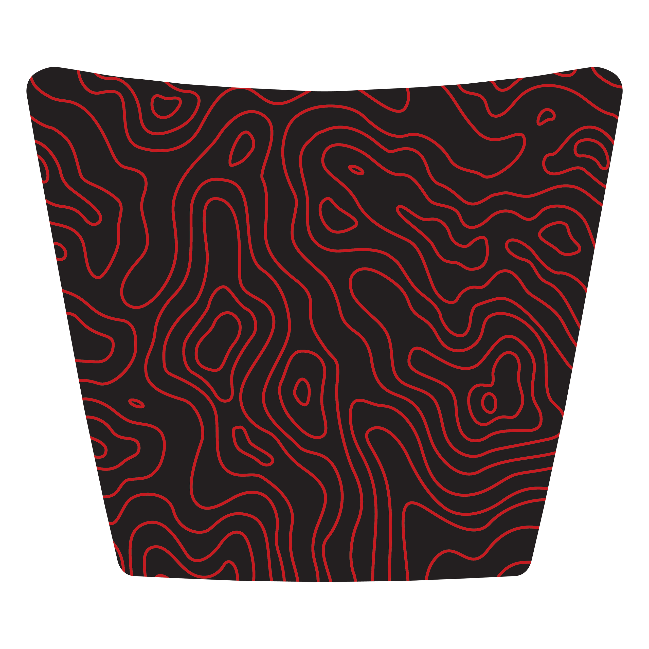 Large 2 Tone Topo Hood Decal - 2ng Gen Tacoma Plain Hood | GP Walsh Designs