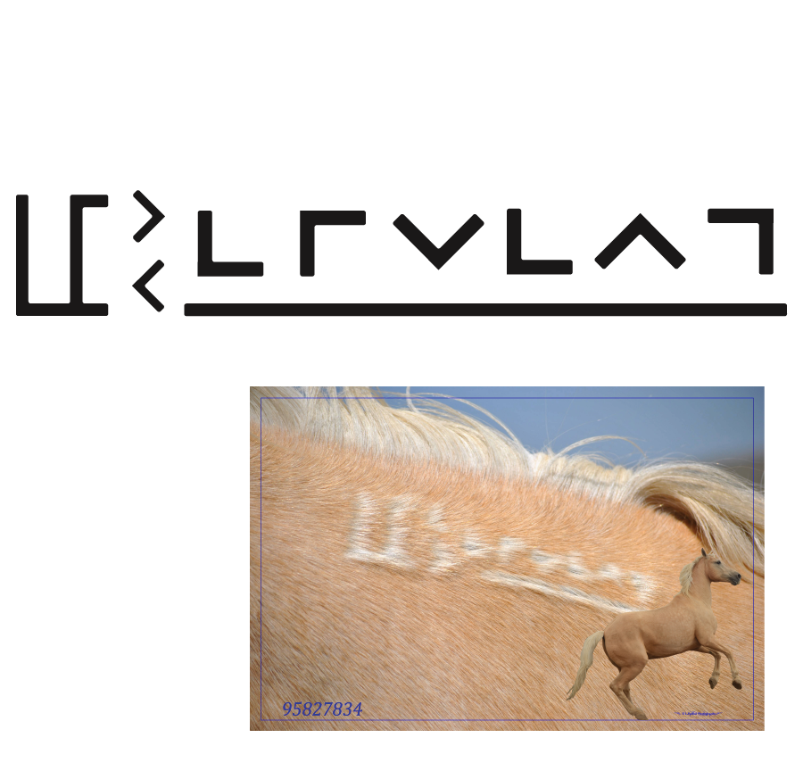 Mustang Brand Decals | GP Walsh Designs