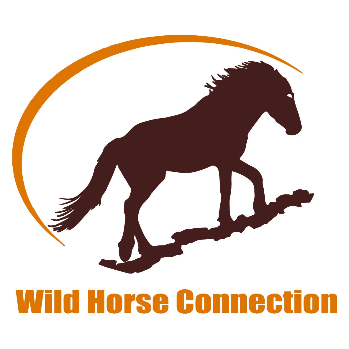 Wild Horse Connection | GP Walsh Designs
